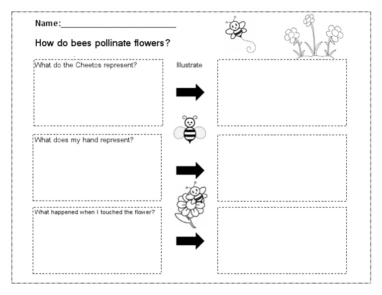 How Do Bees Pollinate Flowers?: Name | PDF