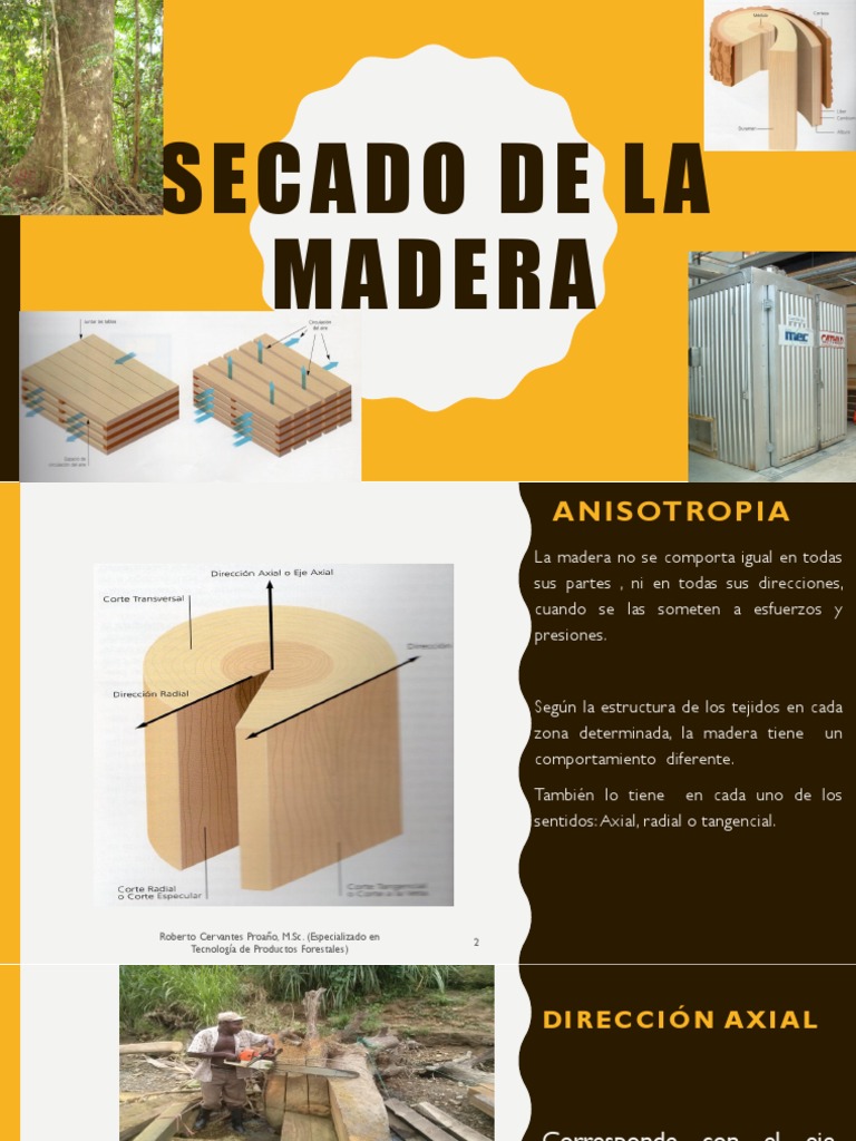 Secado de La Madera | PDF | Madera | Tallo de la planta