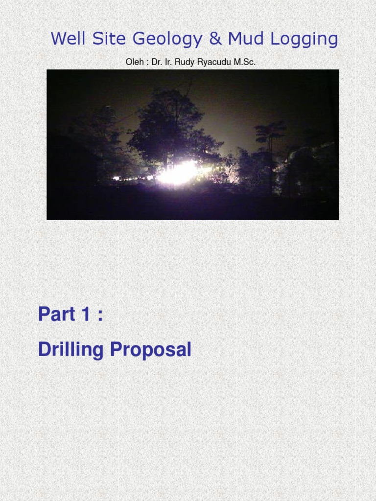 12 - Wellsite & Mud Log | PDF