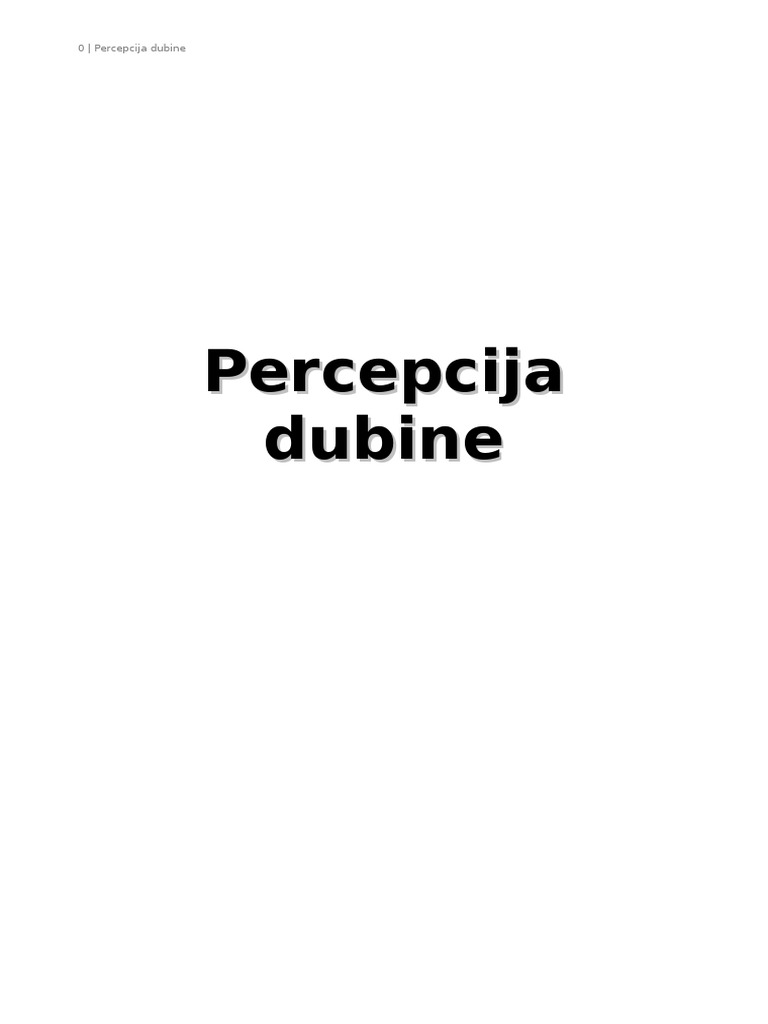 #3 Percepcija Dubine | PDF