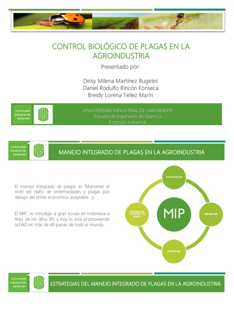 Control Biológico en Agroindustria | PDF | Insectos beneficiosos ...