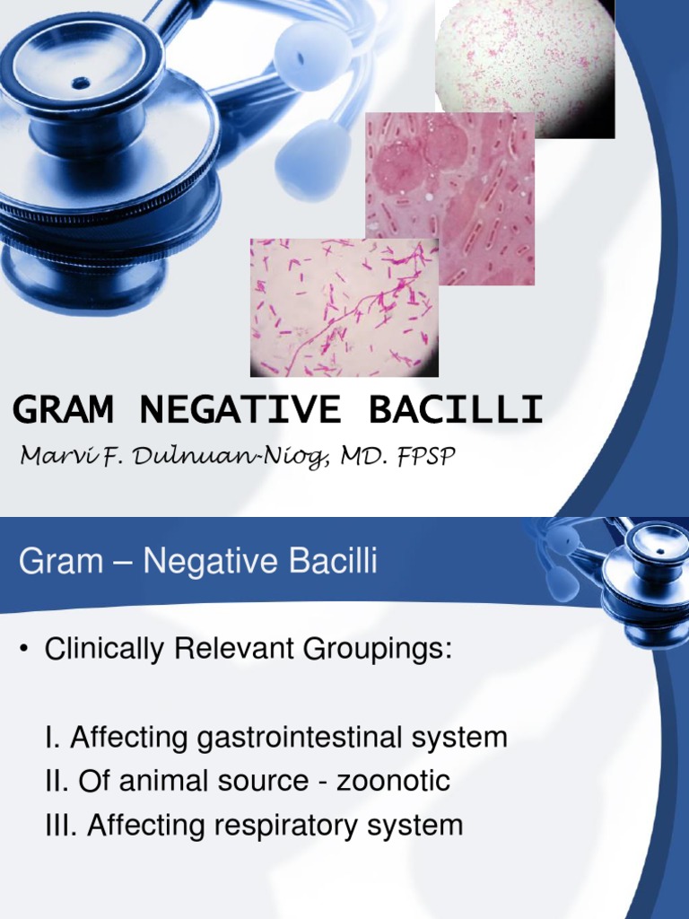 Gram Negative Bacilli Overview | PDF | Escherichia Coli | Pseudomonas