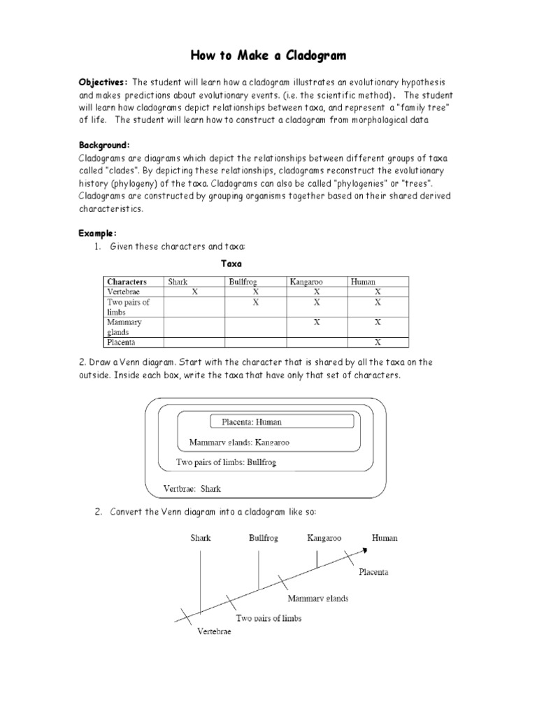Making A Cladogram | PDF