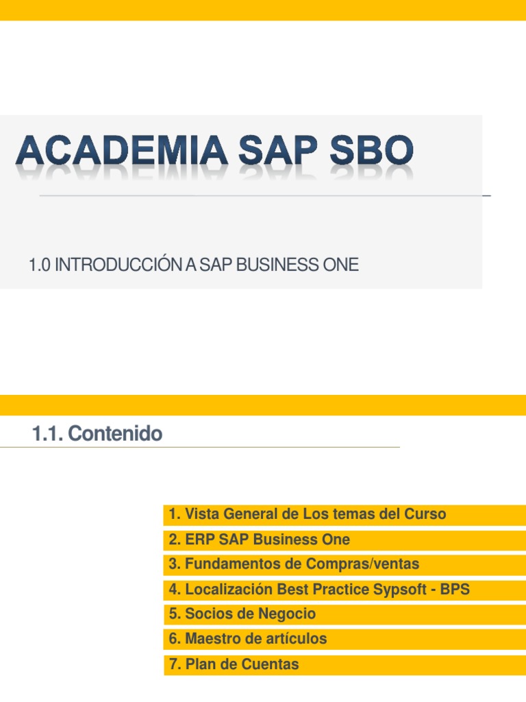 Introduccion SAP SBO | PDF | Sap Se | Planificación de recursos ...