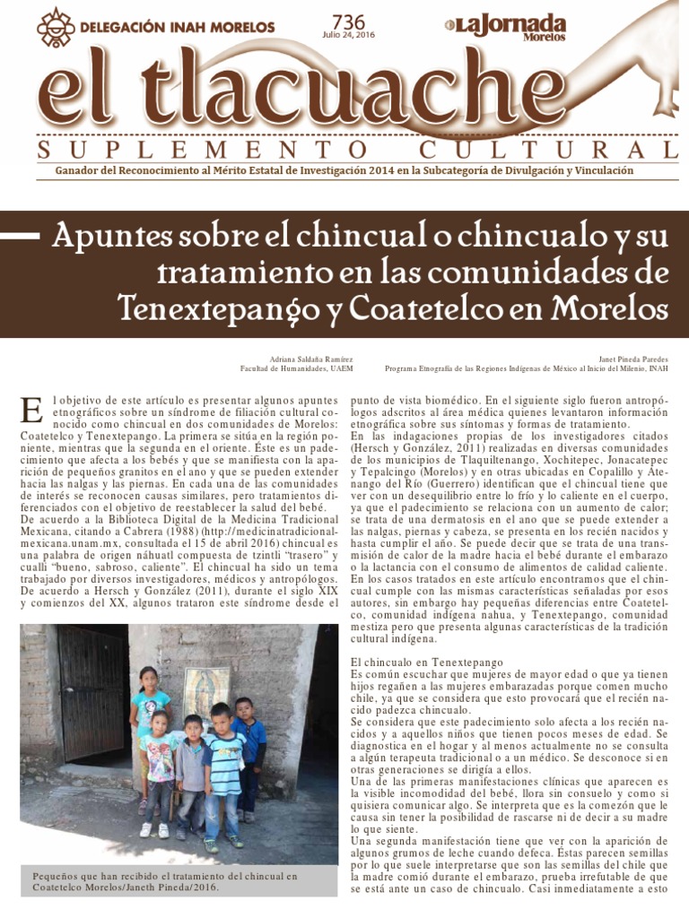 Apuntes Sobre El Chincual o Chincualo y PDF | PDF | Medicina | Ciencias ...