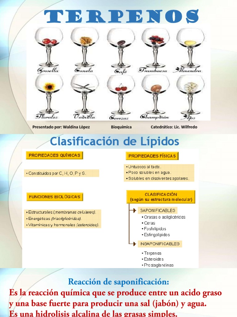 Ejemplos y Funciones de Terpenos | PDF | Compuestos orgánicos ...