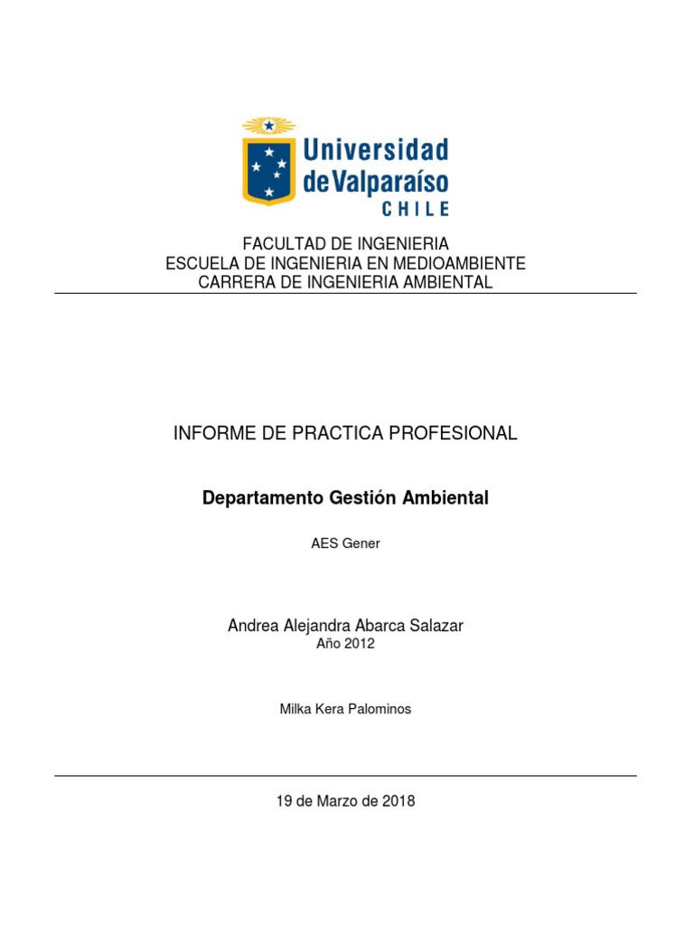 INFORME DE PRÁCTICA PROFESIONAL Final | PDF | Caldera | Naturaleza
