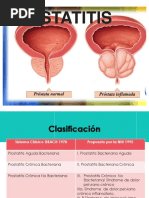 Prostatitis y epididimoorquitis: Guía clínica | PDF | Próstata ...