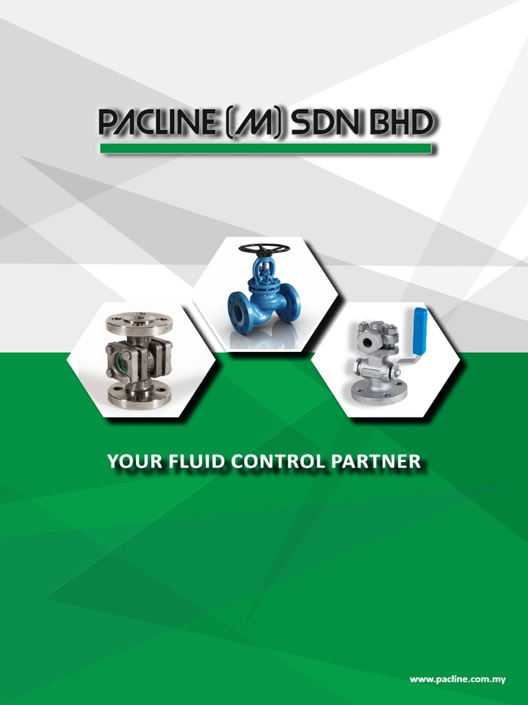 Pacline 1 | PDF | Valve | Graphite