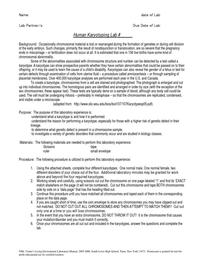 9 Human Karyotyping Activity PDF | PDF | Karyotype | Chromosome