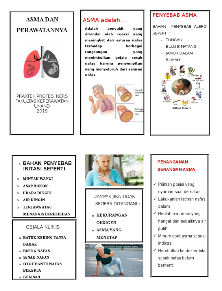 Leaflet Asma 1 | PDF