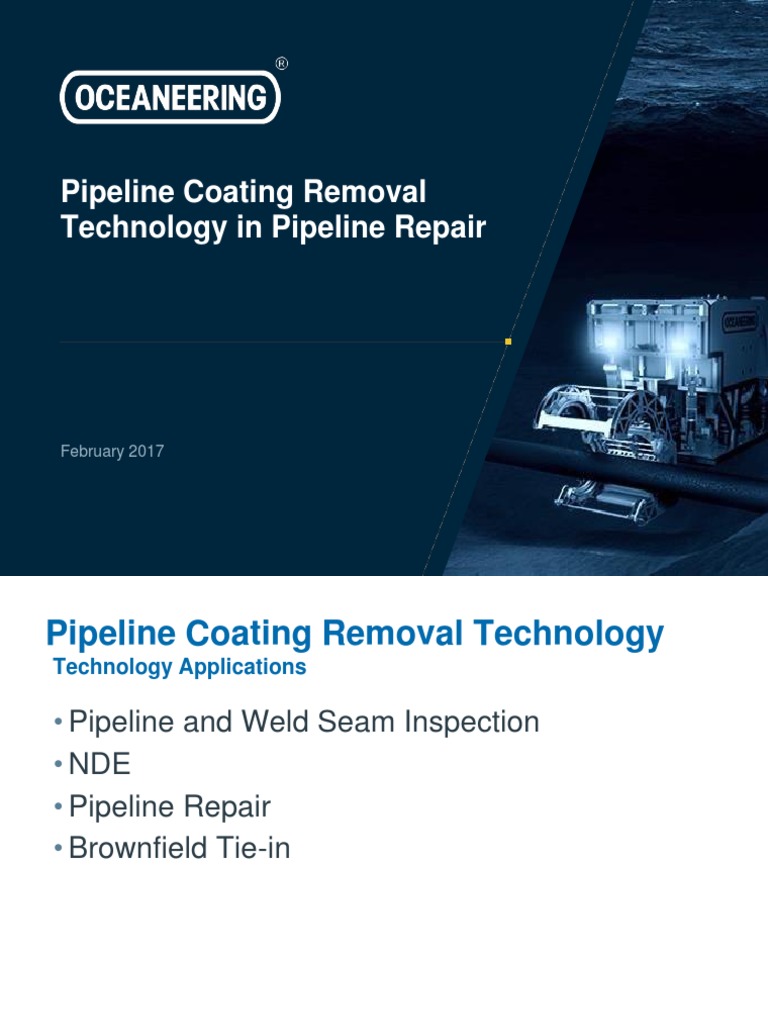 Design Considerations For Subsea Metrology Measurements | PDF ...