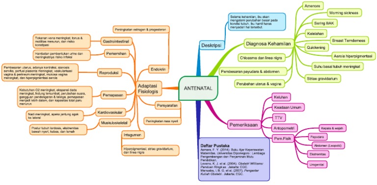 Mind Map Antenatal | PDF