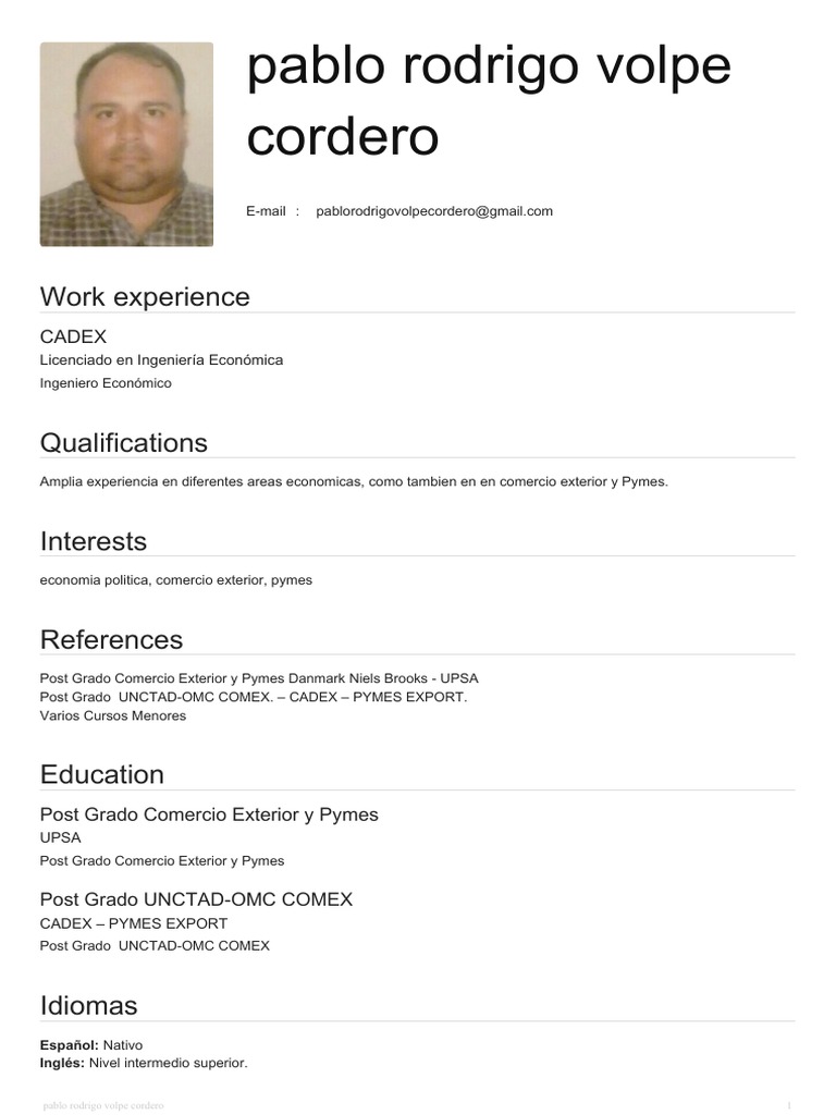 Perfil Profesional de Pablo Rodrigo Volpe | PDF