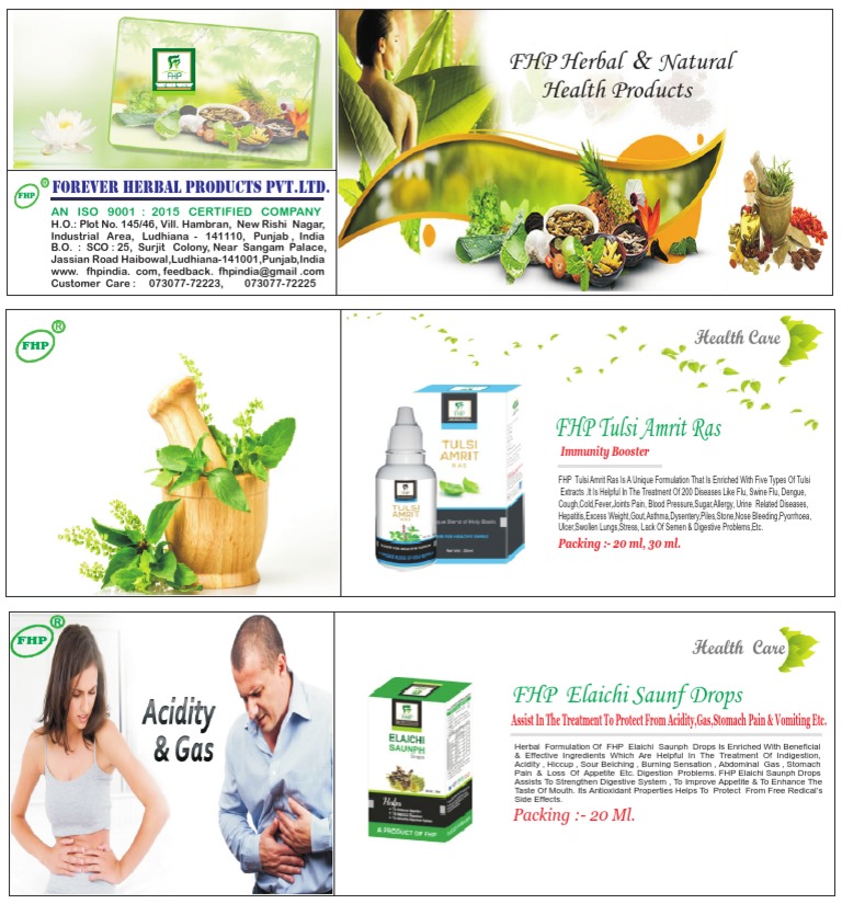 FHP Herbal Products Overview | PDF | Dietary Supplements | Human Body