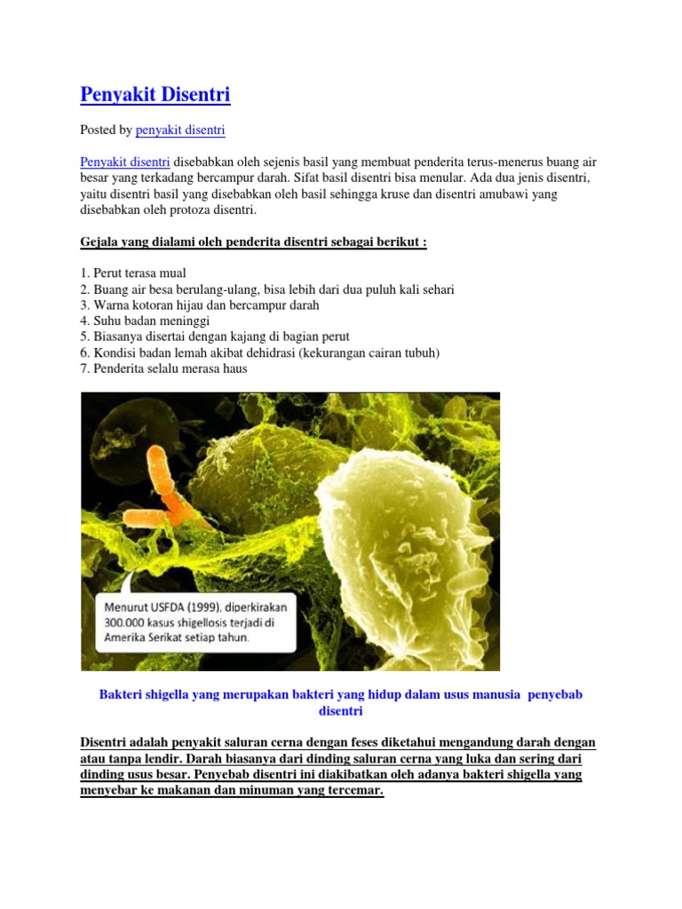Penyakit Disentri | PDF