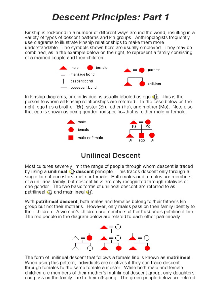 The Nature of Kinship - Descent Principles (Part 1) PDF | PDF | Kinship ...