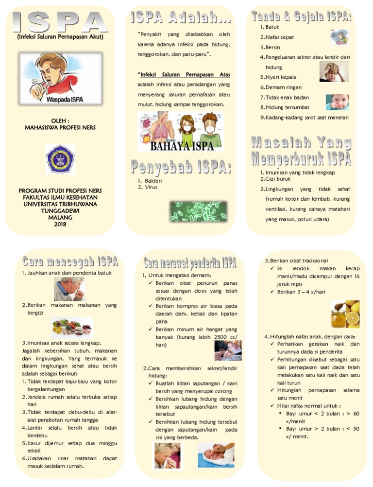 Leaflet Ispa Newss | PDF