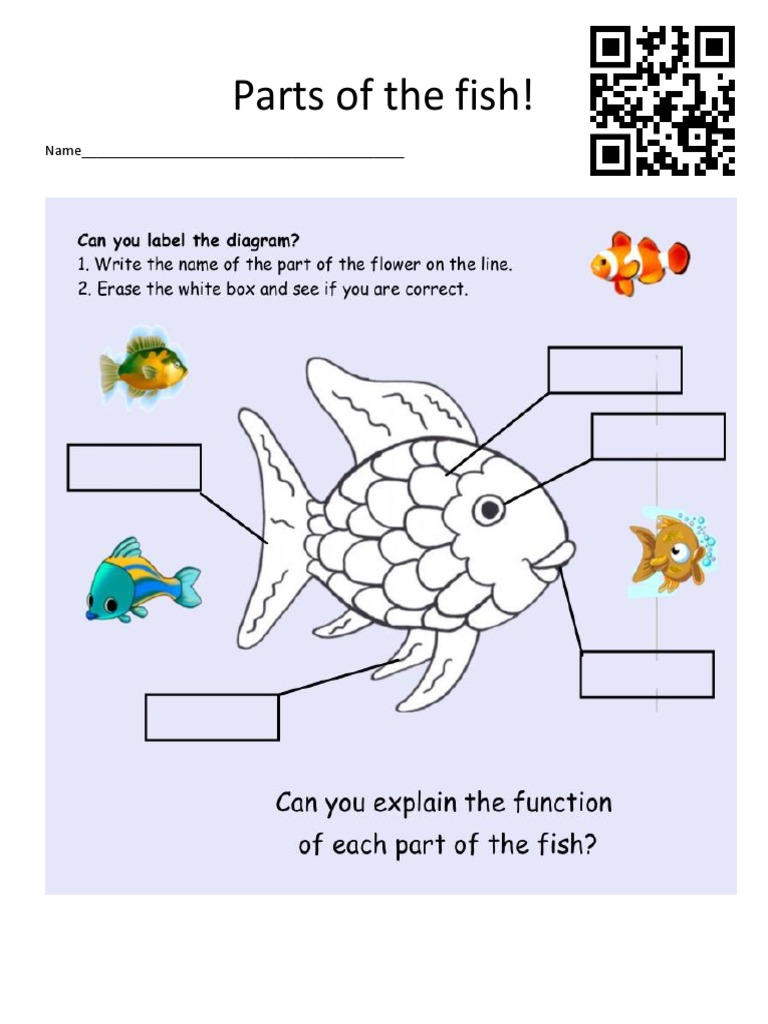 Parts of Fish | PDF