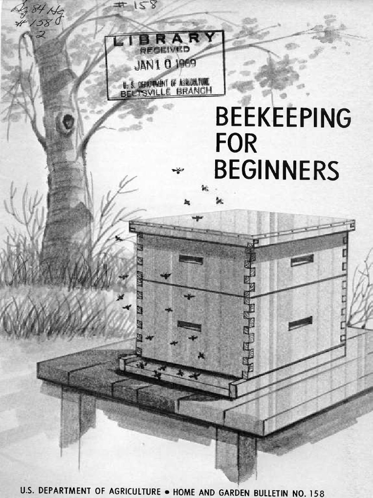 Beekeeping Basics for Beginners | PDF | Beehive | Beekeeping