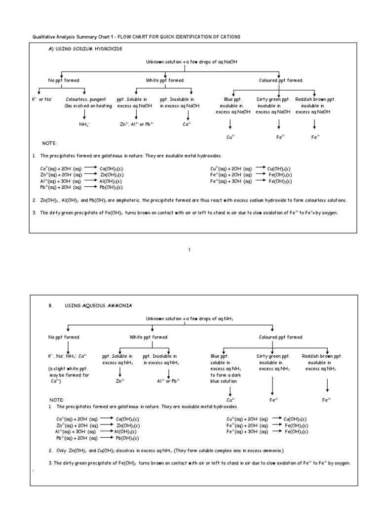 Quick identification of cations and anions flow chart | PDF | Sodium ...