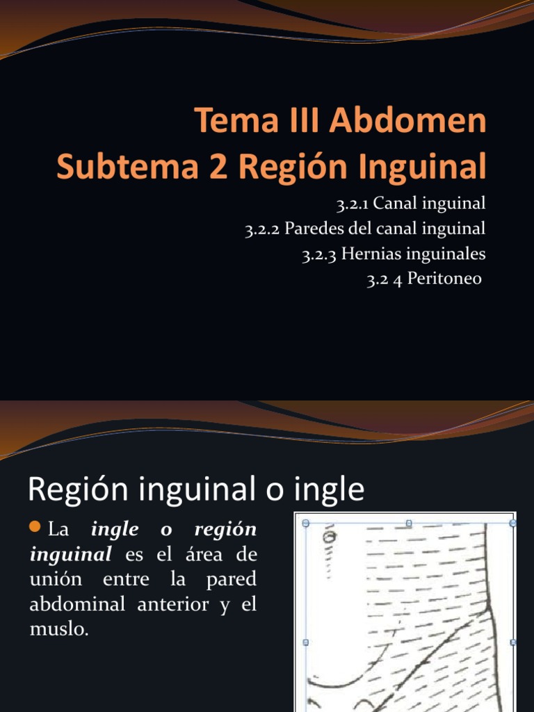 Anatomía del Canal Inguinal y Hernias | PDF | Peritoneo | Abdomen