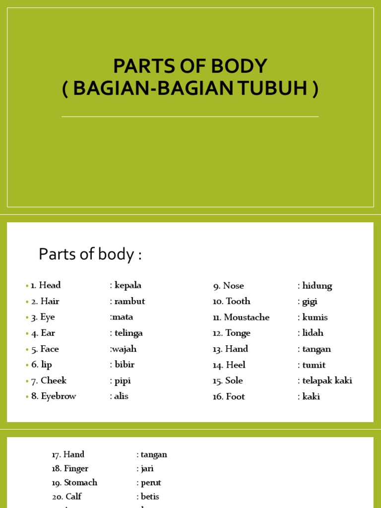 Body Parts and Actions Guide | PDF