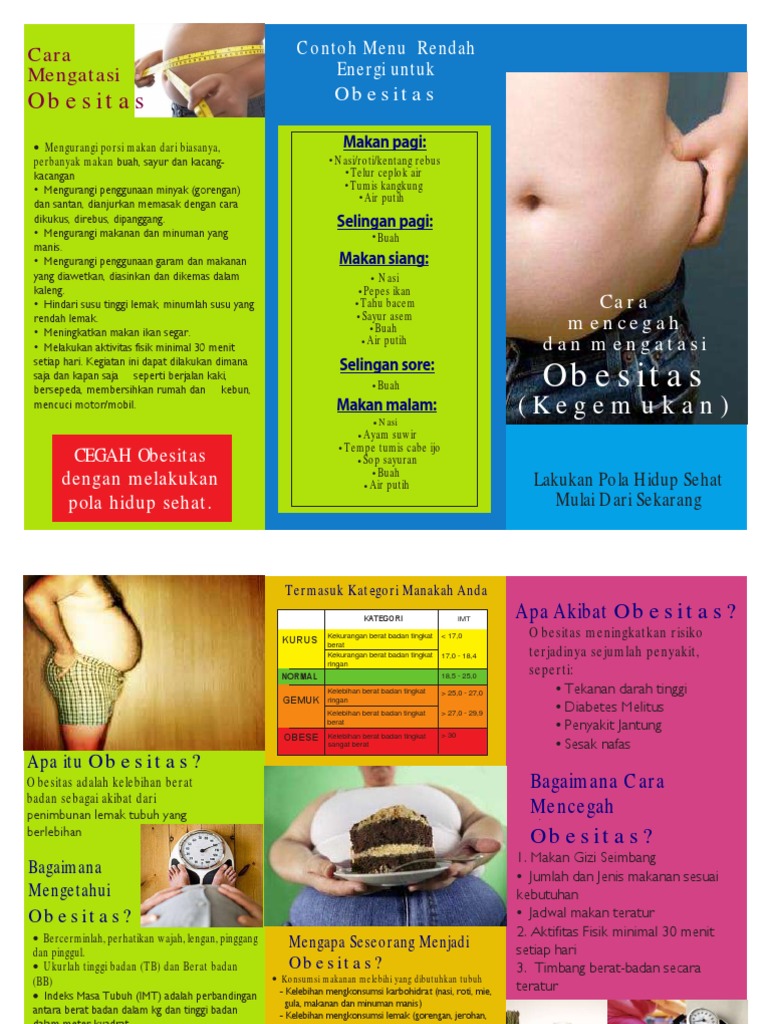 Leaflet Obesitas DR OI | PDF