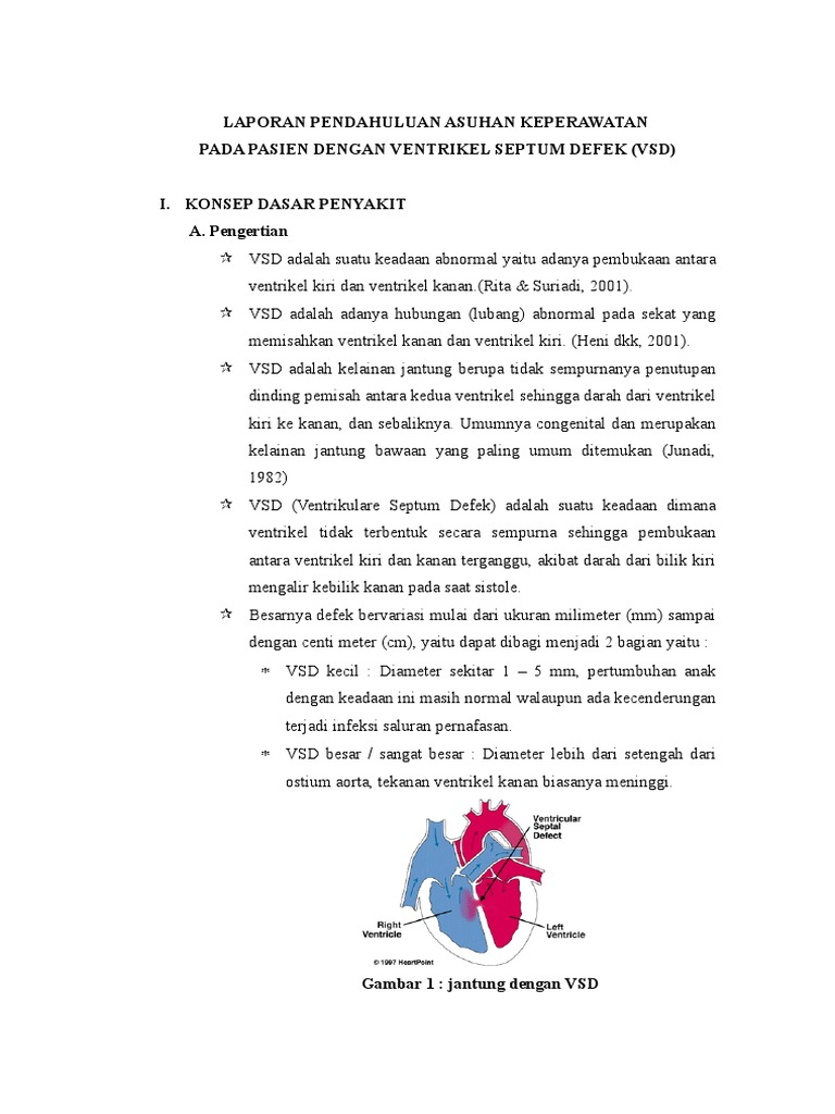 Asuhan Keperawatan Pasien VSD | PDF | Sains & Matematika