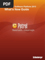 Petrel 2020-6 Installation Guide | PDF | Graphics Processing Unit | Installation (Computer Programs)