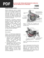 HINTS Exam for Vestibular Assessment | PDF | Vertigo | Vestibular System