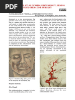 Principles of Plastic Surgery For | PDF | Wound Healing | Healing