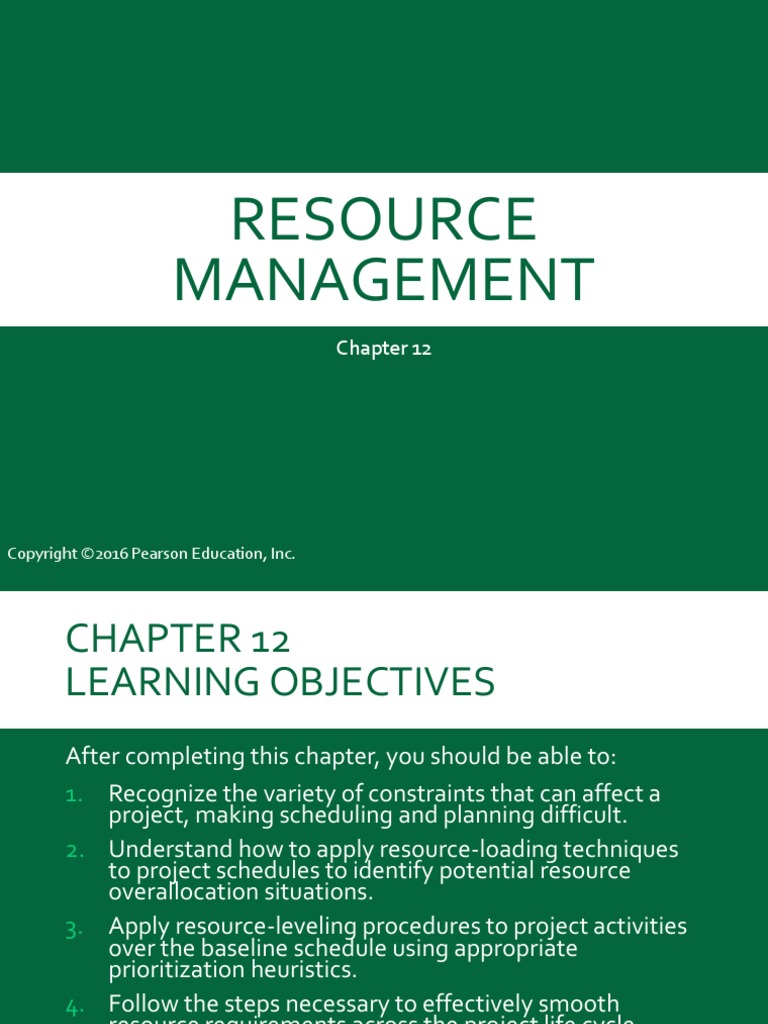 Pinto Pm4 Inppt 12-Pr | PDF | Project Management | Business