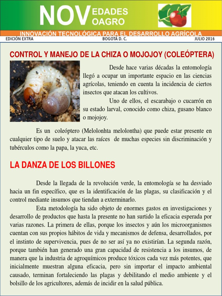 Control de La Chiza | PDF | Plaga (organismo) | Escarabajo