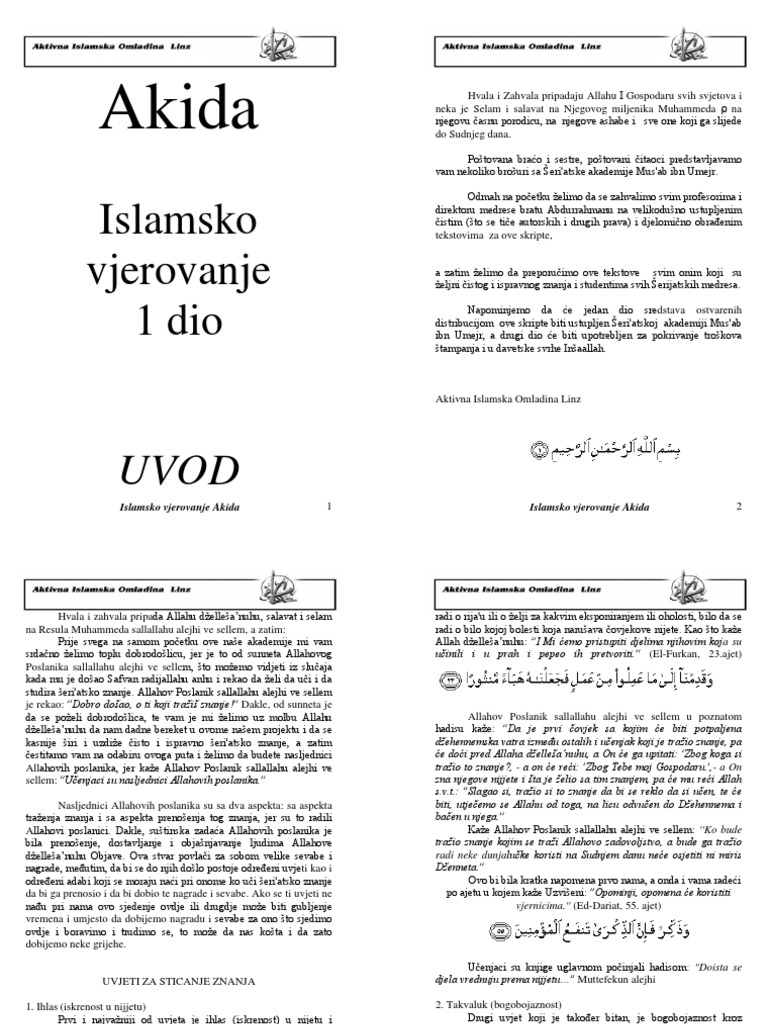 Akida PDF | PDF