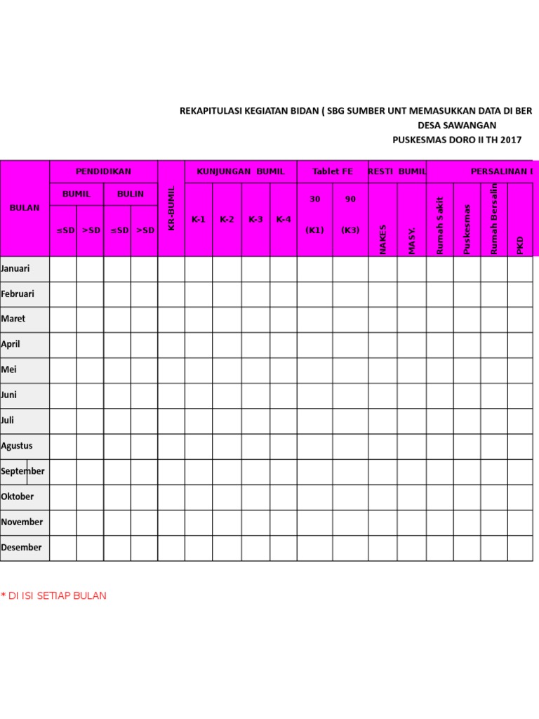 Rekapitulasi Kegiatan Bidan 2017 | PDF