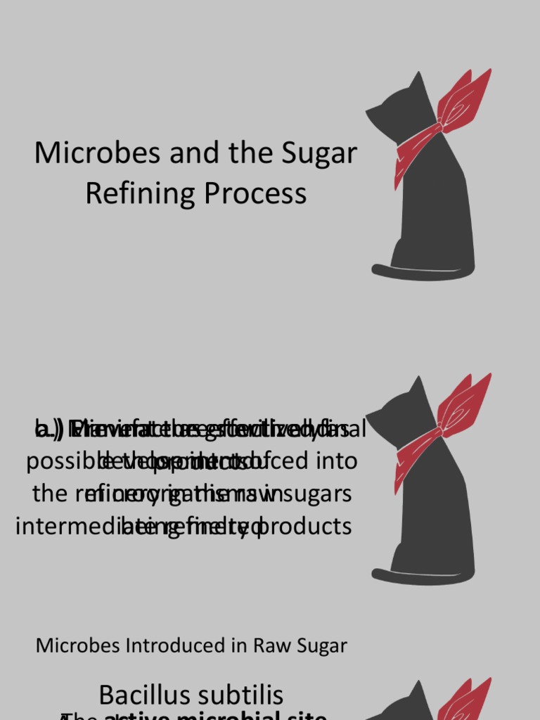 Microbes and The Sugar Refining Process | PDF