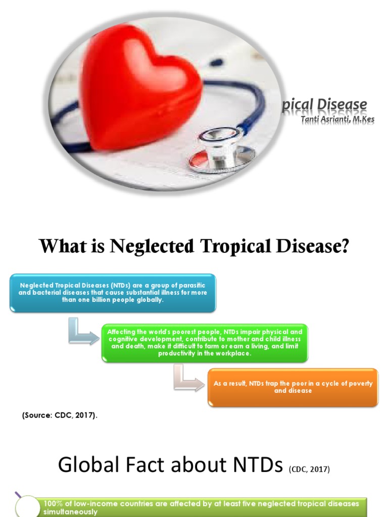 Understanding Neglected Tropical Diseases | PDF | Public Health ...