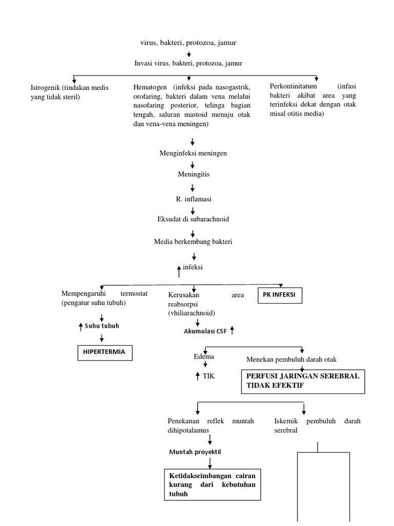 Pathway Meningitis | PDF