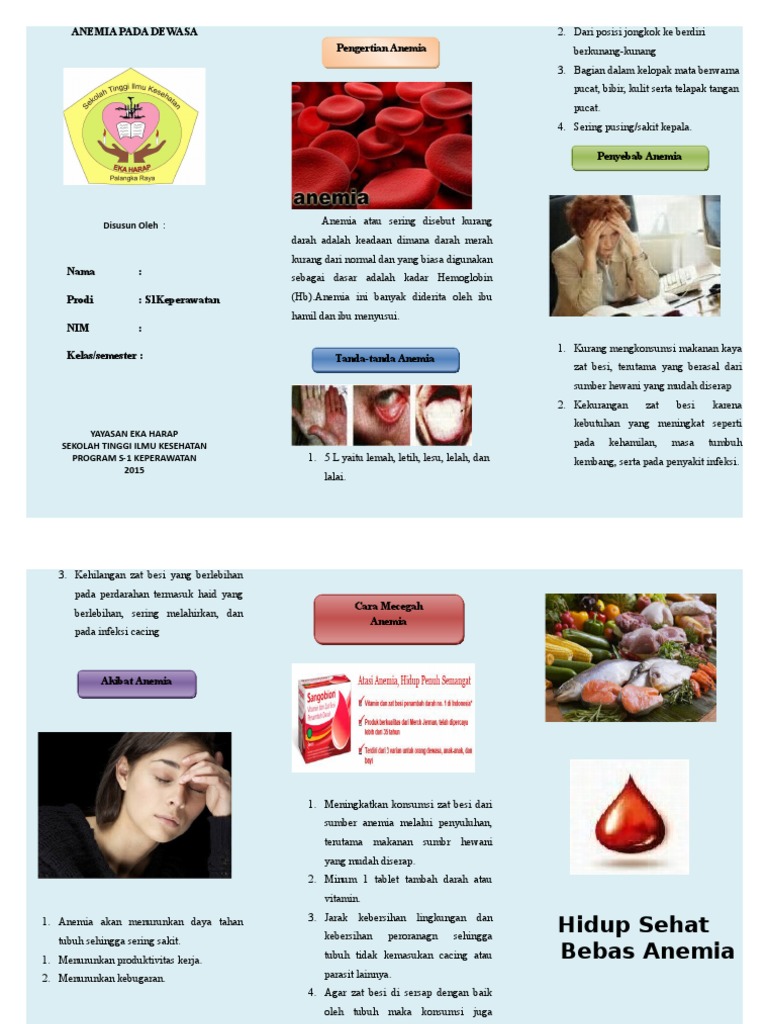 Leaflet Anemia | PDF