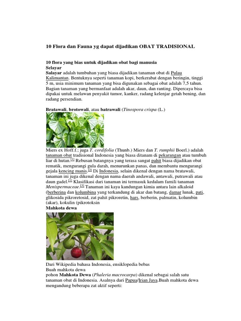 10 Flora Dan Fauna Yg Dapat Dijadikan OBAT TRADISIONAL | PDF ...
