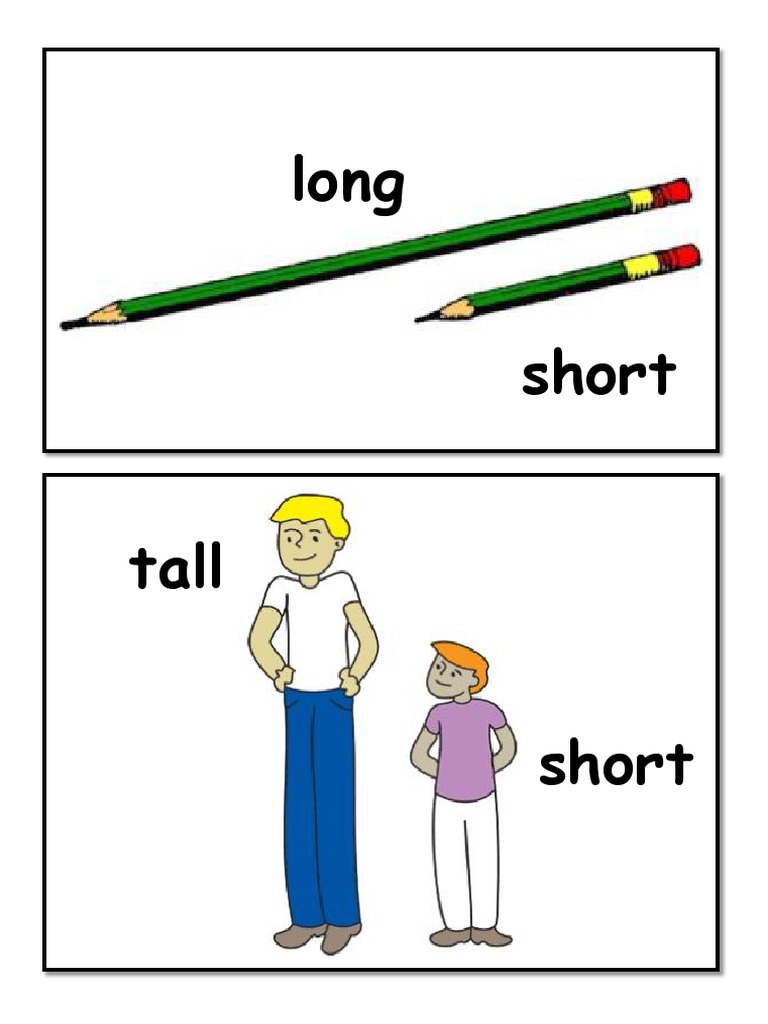 Adjectives Pdf Linguistic Morphology Syntax