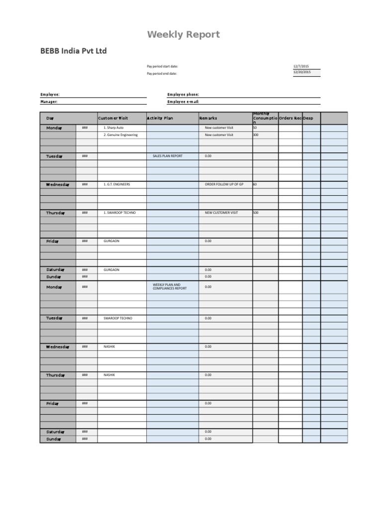 Weekly Visit Plan | PDF | Sports | Business