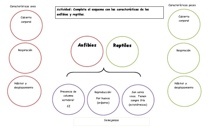 Diagrama De Venn De Repteis E Anfibios Núcleo Celular | Blog Do Prof.
