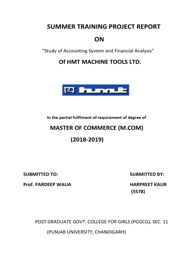 Summer Training Project Report | PDF | Business | Economies