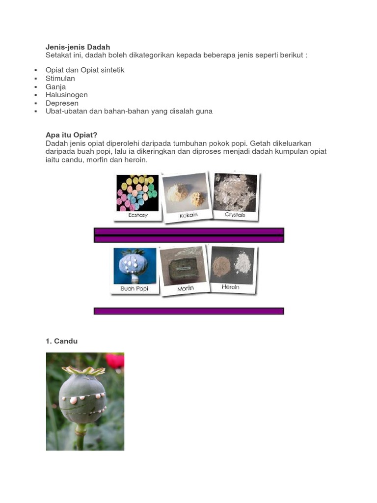 Jenis-Jenis Dadah | PDF