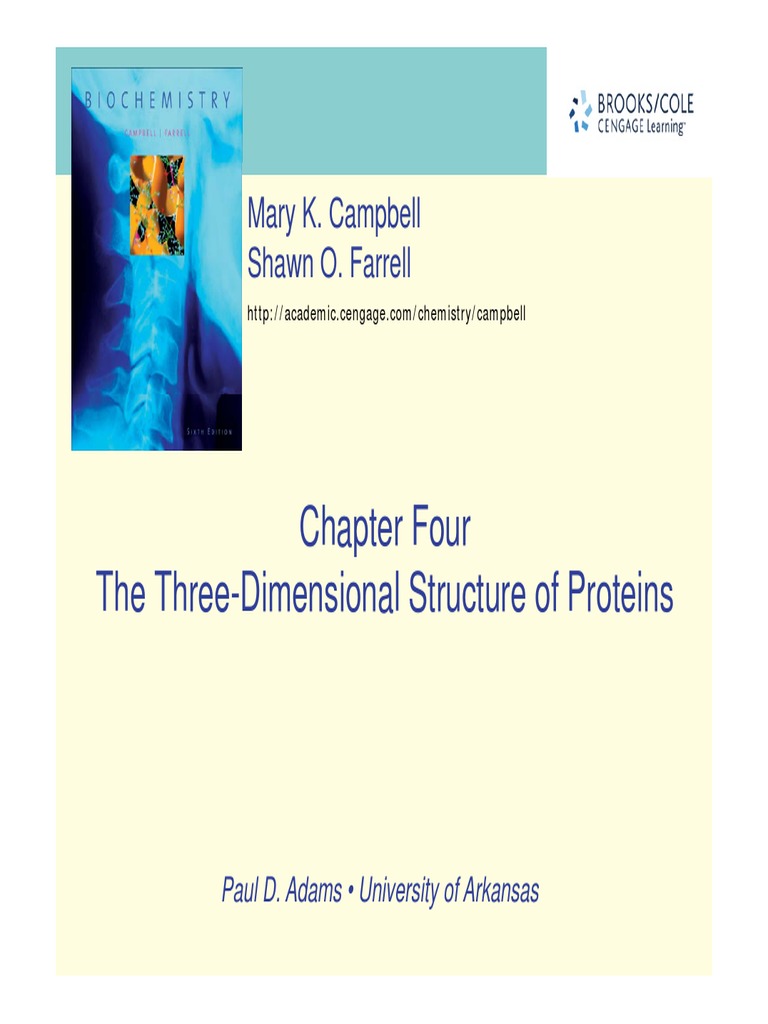 The 3d Structure Of Proteins Pdf Protein Structure Beta Sheet