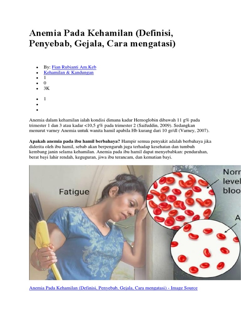 Gejala dan Penyebab Anemia Ibu Hamil | PDF