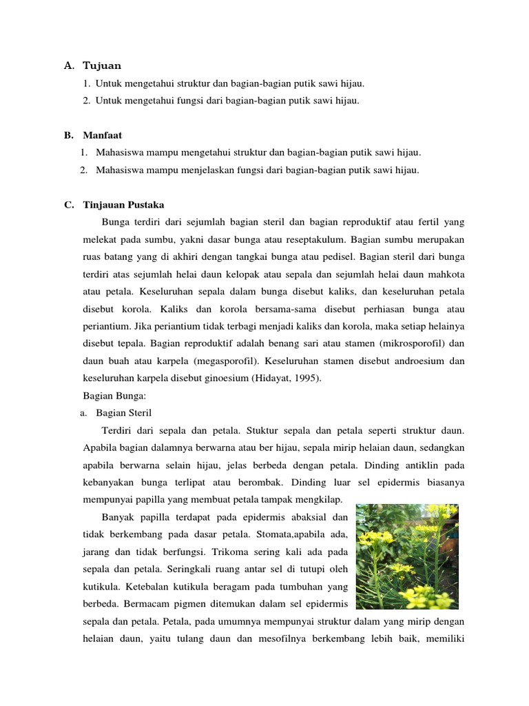 Anatomi Bunga | PDF