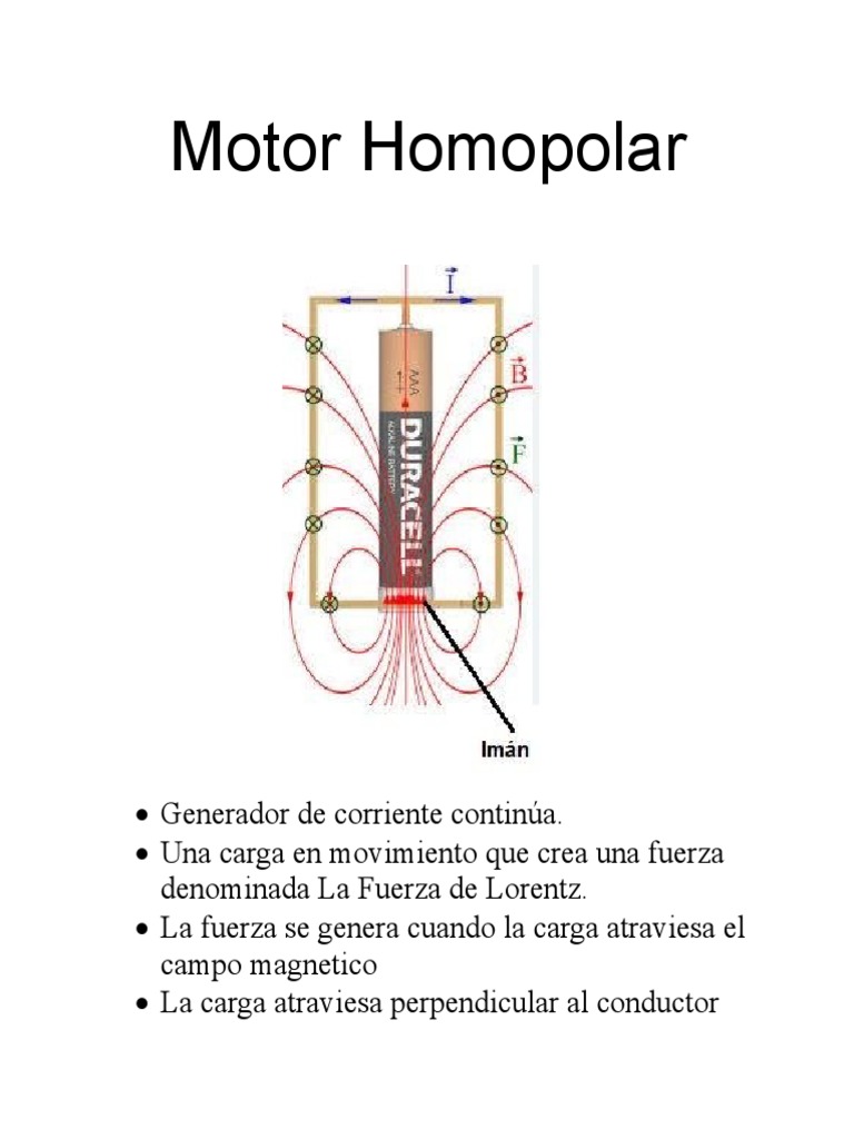 Motor Homopolar | PDF